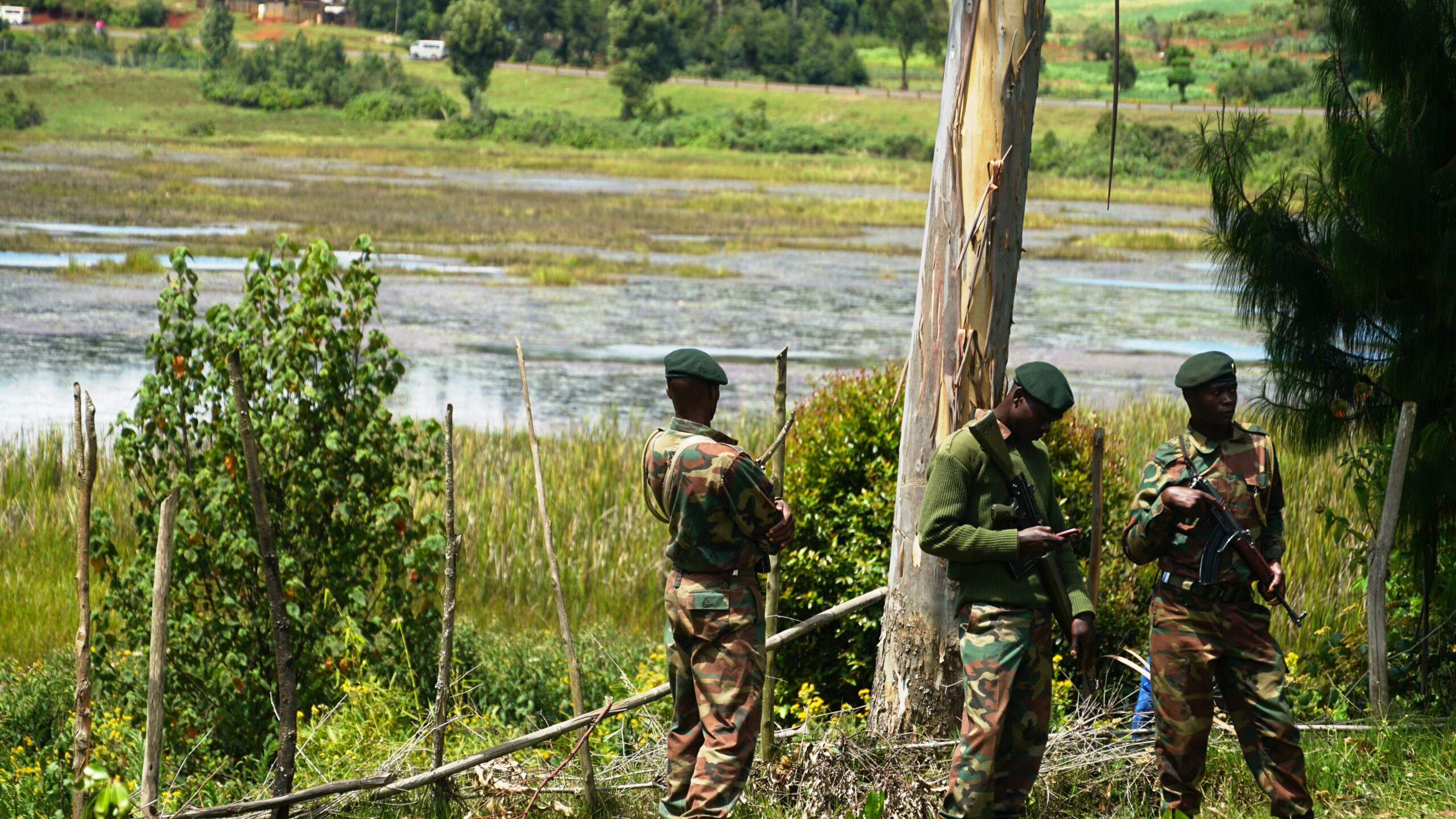 Kenyans Urged to Heed the Call: Protect Wetlands Before Cranes Vanish ...