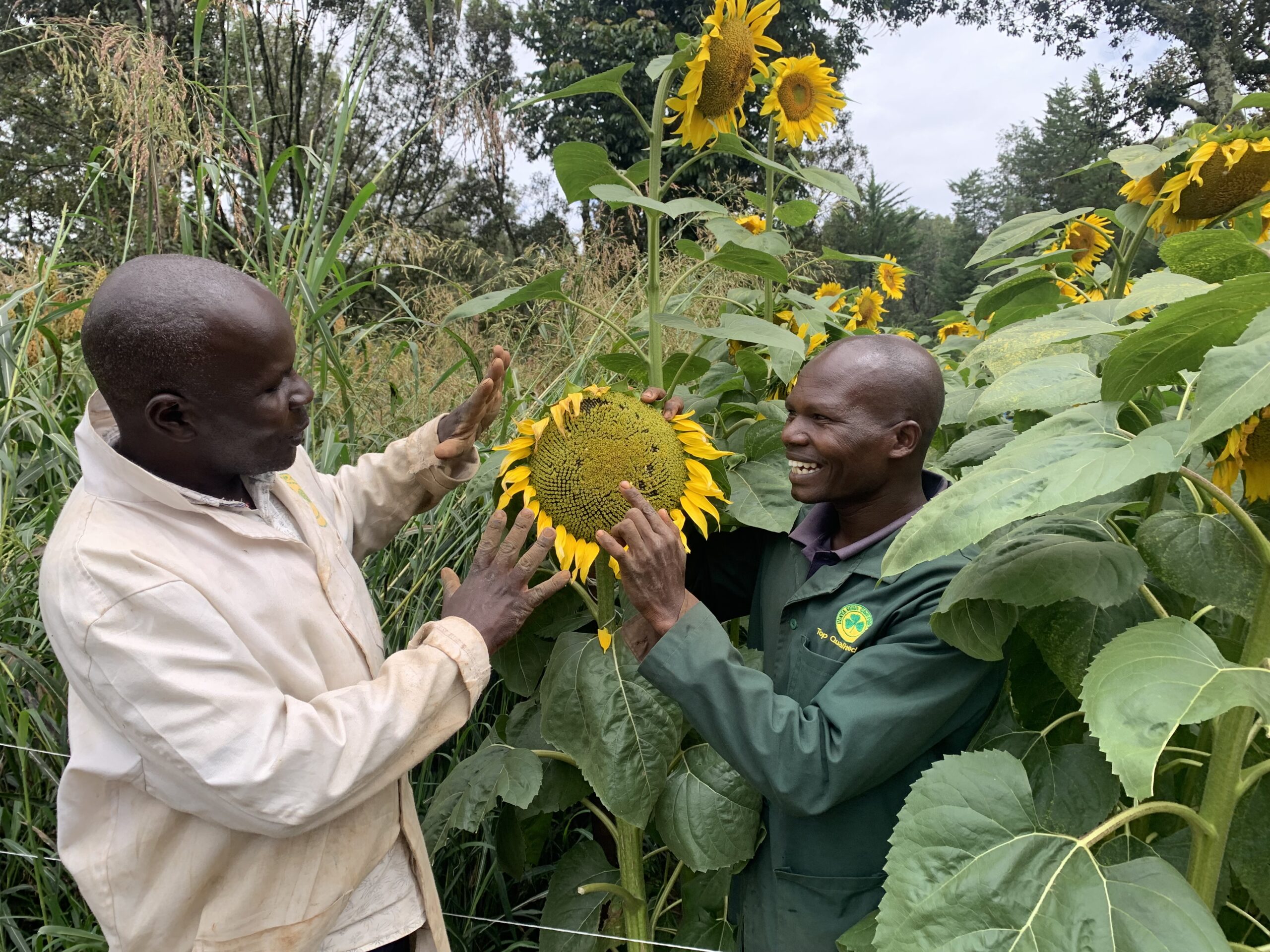 Countdown Begins: Eldoret Gears Up for ASK Agricultural Showcase ...