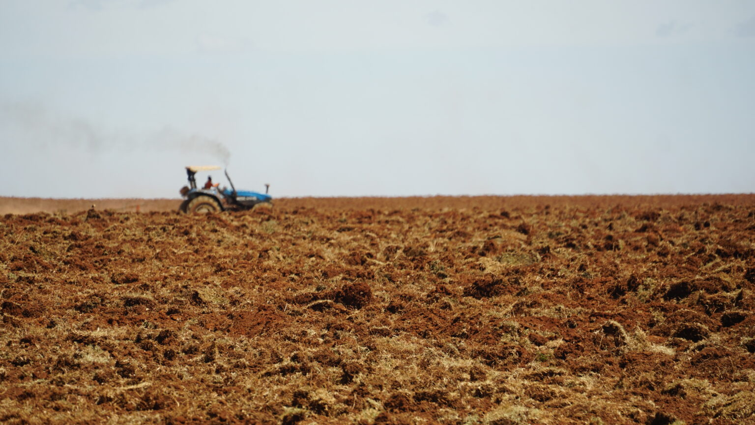 Squatter Community Faces Displacement as Politician Seizes 1,500 Acres ...