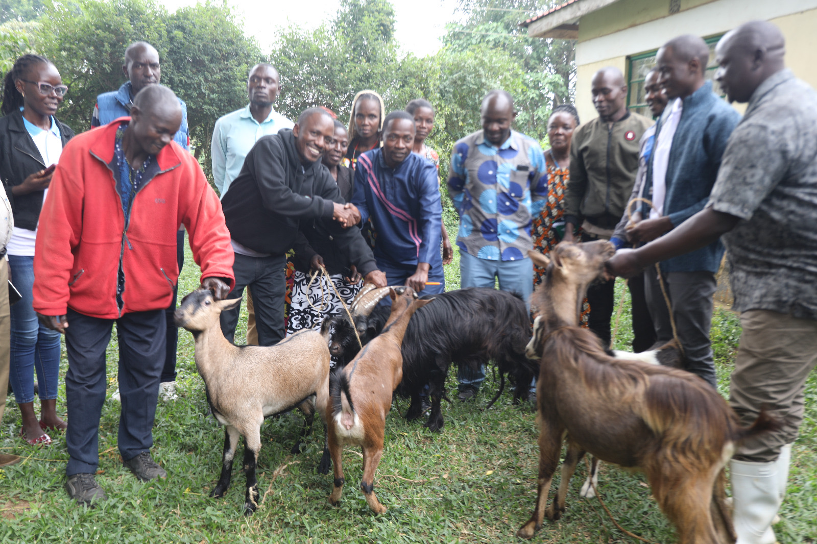 Busia County Boosts Farmer Incomes with Dairy Goat Distribution ...