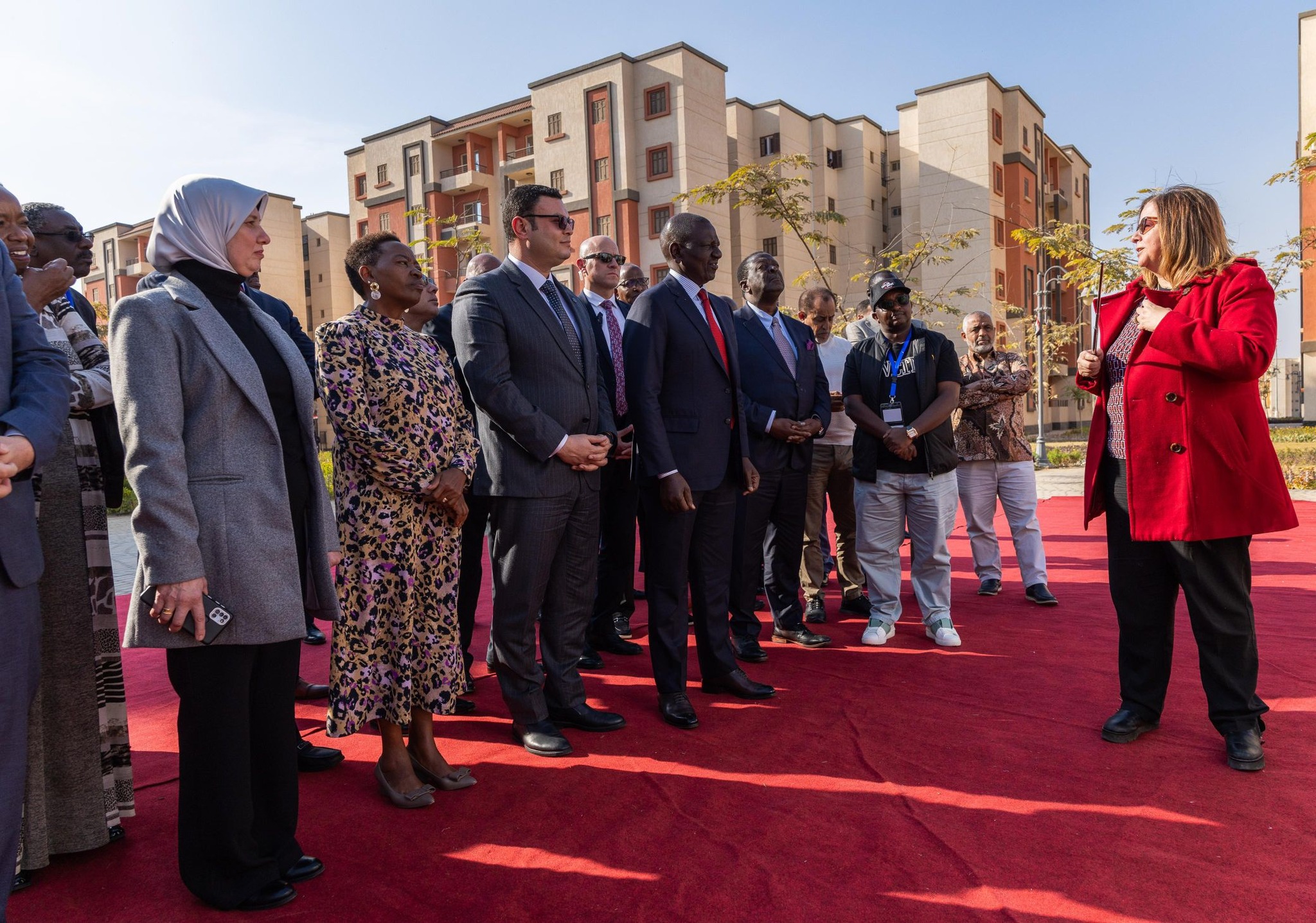 Kenya Eyes Egypt’s Success in Universal Health Coverage and Affordable ...