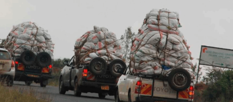 Miraa Drivers Face Stern Crackdown on Highway - HUBZ MEDIA