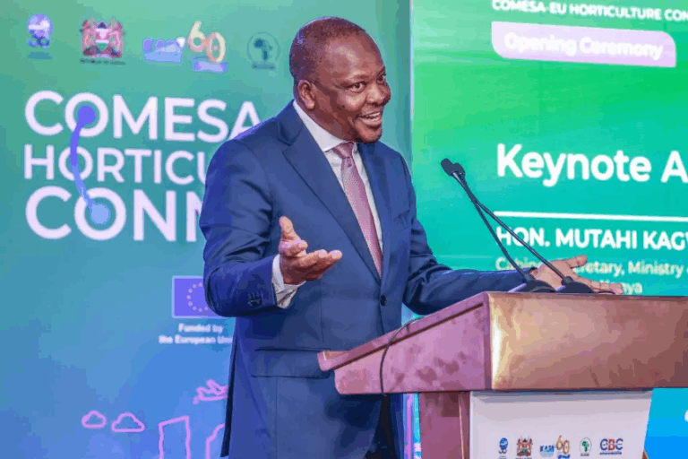 COMESA Summit: CS Kagwe Urges Digitization to Accelerate Agricultural ...