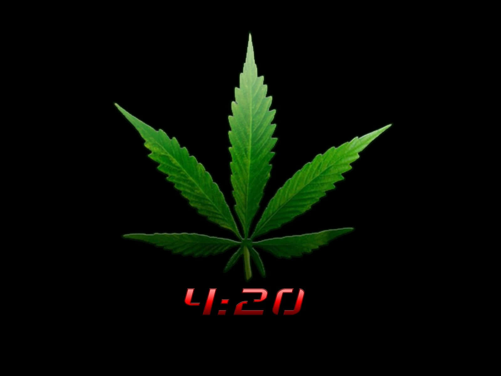 Radio Feature; “Inside 420: A Culture in Smoke” - HUBZ MEDIA