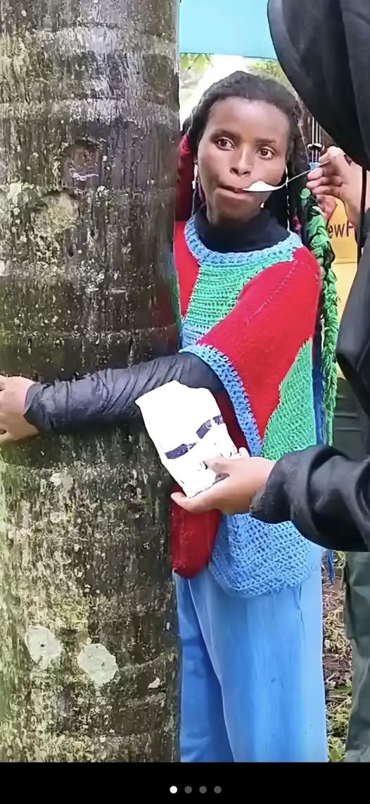 Kenyan Environmentalist Truphena Muthoni Breaks New Ground With 72-Hour ...